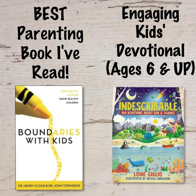 Parenting & Devotional Book Recommendations – Linsey Driskill